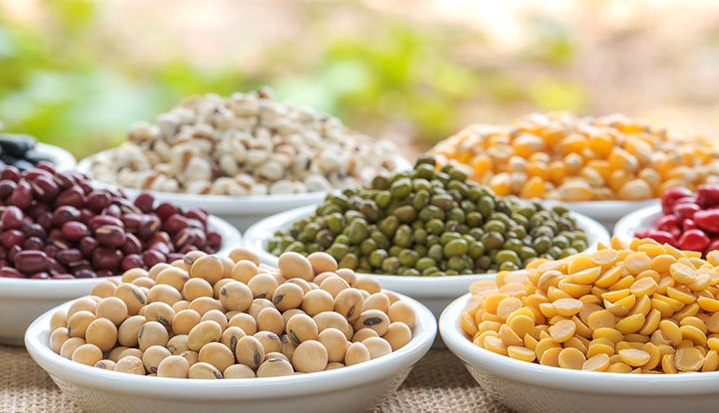 Home – Myxo Company