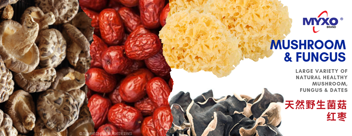 Our Products – Myxo Company