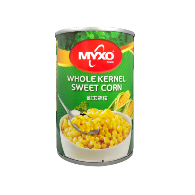 (MYXO)Mixed Ginger 555g – Myxo Company